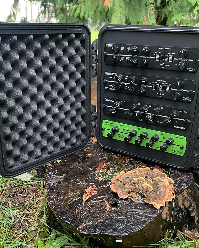 Burns Delta Model 4 Slot Case, Black, Synergy MTS | Reverb Australia