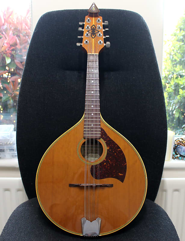 Joe Foley Mandolin (Electric) 2001 Cedar | Reverb