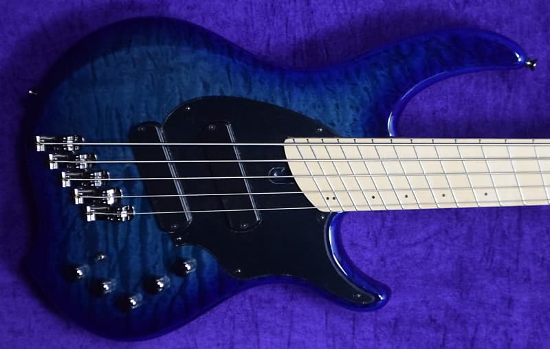 Dingwall Combustion 5 (2 Pickup), Indigo Burst w/ Maple *In | Reverb