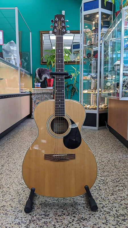 Segovia F-07 GN 6 string acoustic guitar | Reverb