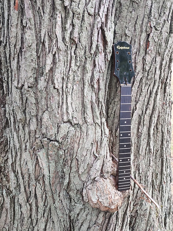 Epiphone Guitar Neck | Reverb