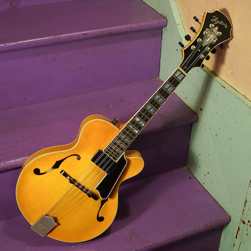 2022 Apitius Club Jazz Archtop Acoustic/Electric Mandolin | Reverb UK