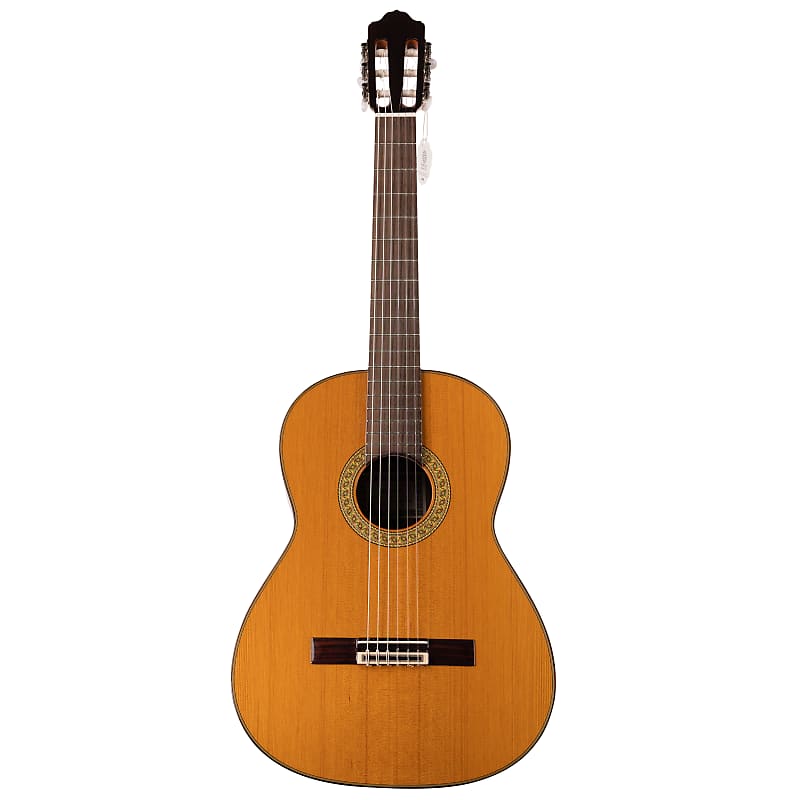 Guitarras Estevé 7SR Classic - All solid wood - | Reverb Canada