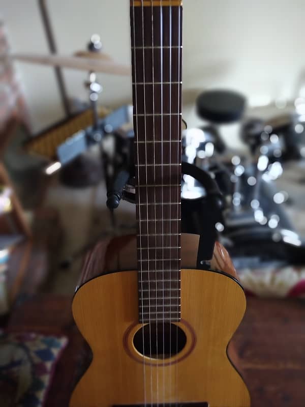 Goya G10 1960s - Natural Shellac | Reverb