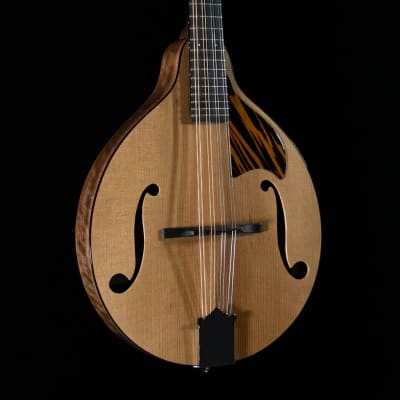 Beard Celtic Mandolin | Reverb