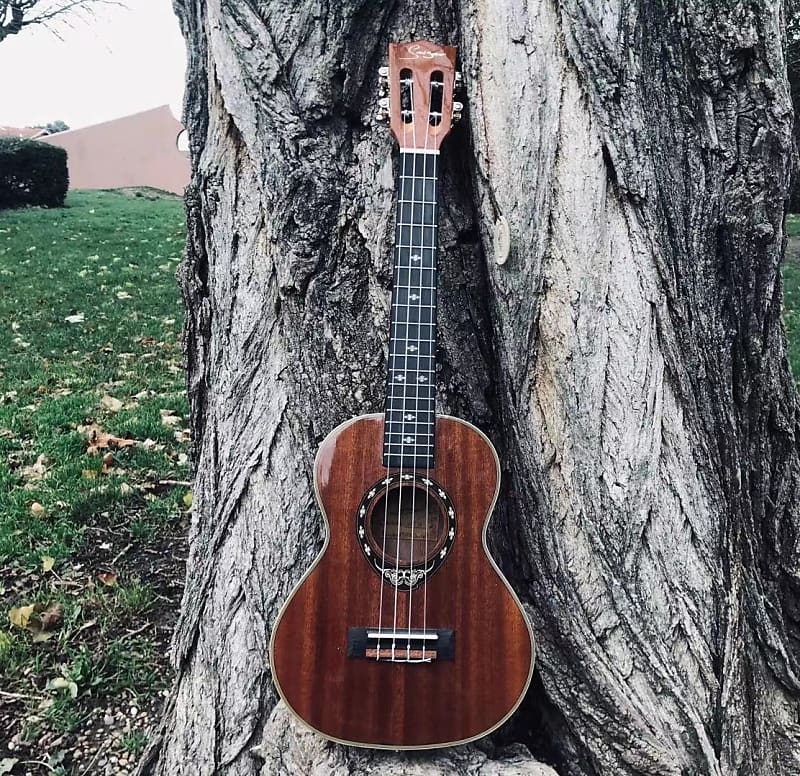 Smiger SKT Ténor | Reverb