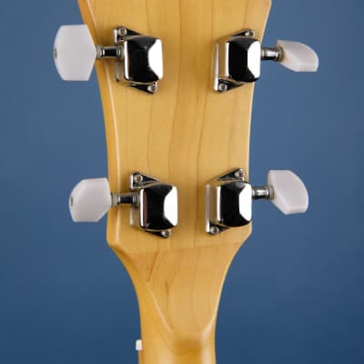 Nashville California Open Back 5-String Banjo (Second-Hand) | Reverb