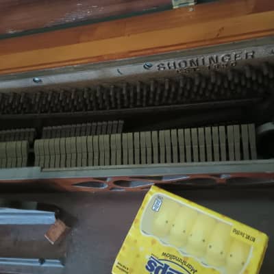 Shoninger Upright Mid-50s - Walnut | Reverb