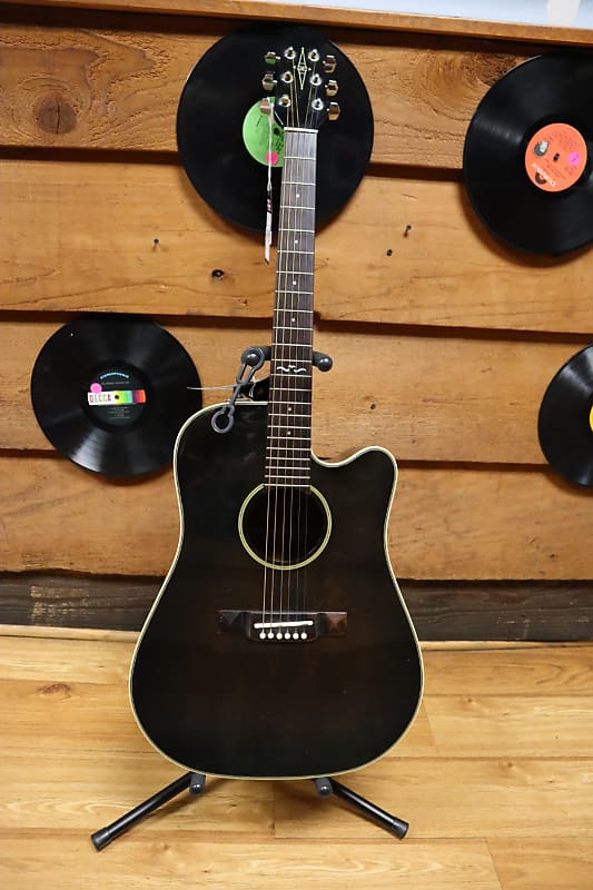 Alvarez 5076 Artist | Reverb