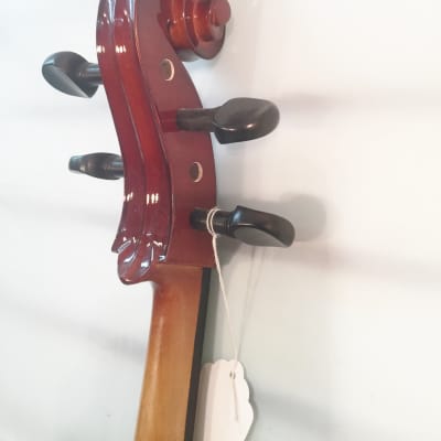 Celestini 1/4 Size 'Cello-Brand New-with Shop Setup-Bag and | Reverb