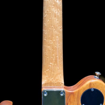 Warmoth Burl Fusion Series Meadowhawk - hamburg | custom | Reverb