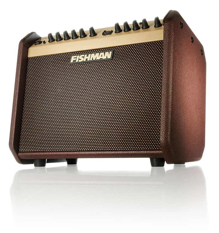 Fishman Loudbox Mini BT Acoustic Guitar Amplifier | Reverb