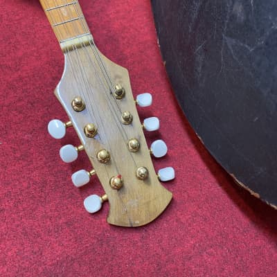 1963 Suzuki M-203 Bowl back Mandolin with original case, pick | Reverb