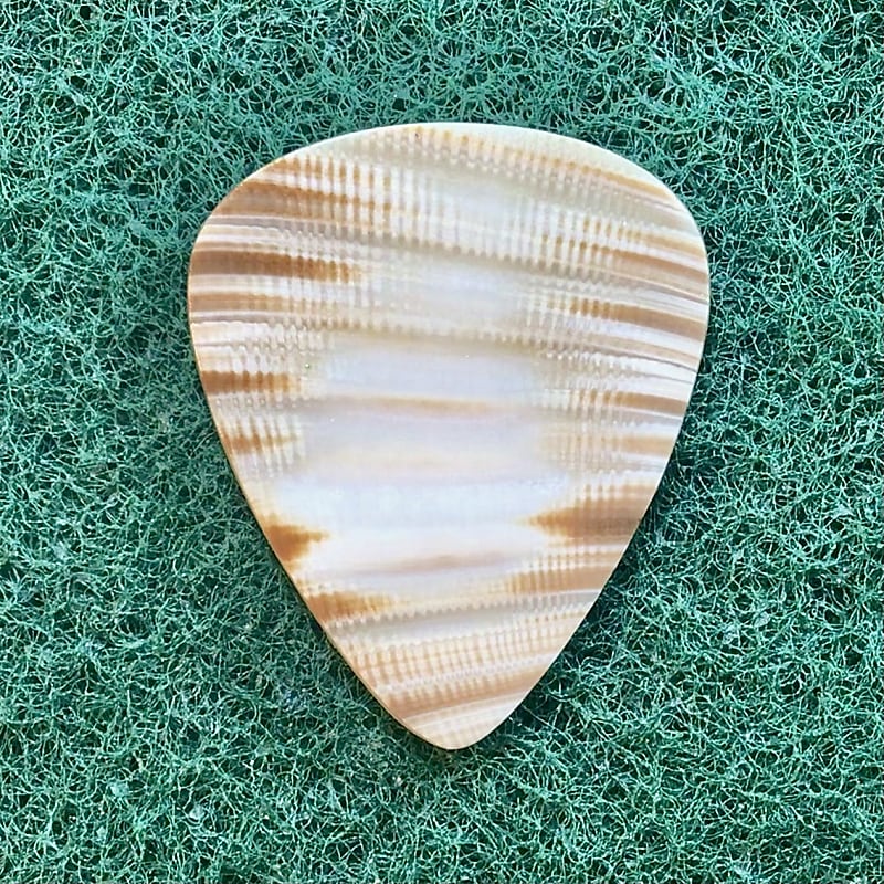 Seashell guitar picks- Classic size and shape, 1.2mm thick … | Reverb