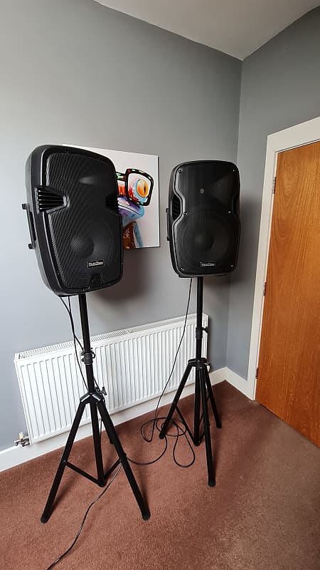 SubZero 500W 12" PA Speaker System with Digital Media | Reverb UK
