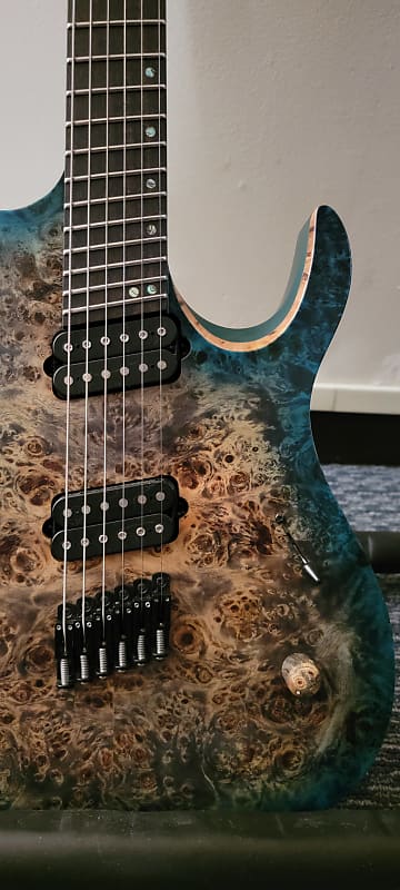 Kiesel DCM6 | Reverb