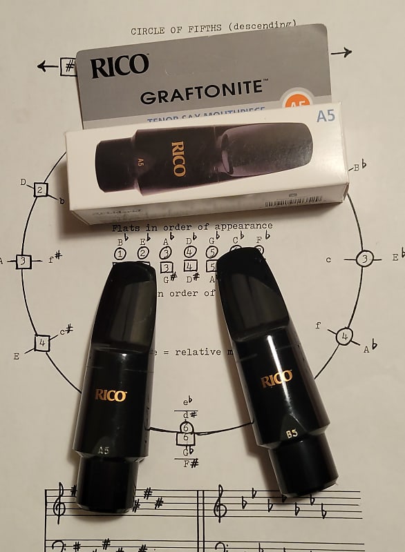 Rico Graftonite Tenor A5 & B5 Two For One | Reverb