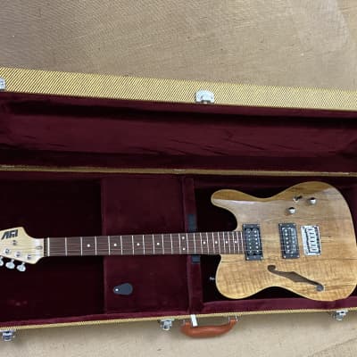 Unbranded Case for Stratocaster/ Telecaster Tweed | Reverb