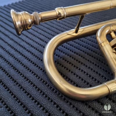 C.G. Conn 80A New Wonder (with mechanism) cornet 1915 - | Reverb