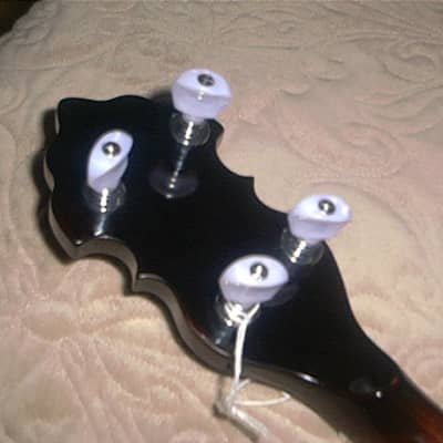 Hohner 5-String Banjo | Reverb