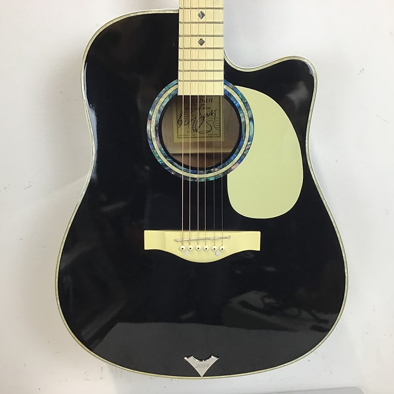 Used Esteban VL-200 MASTER CLASS SERIES Acoustic Guitars | Reverb