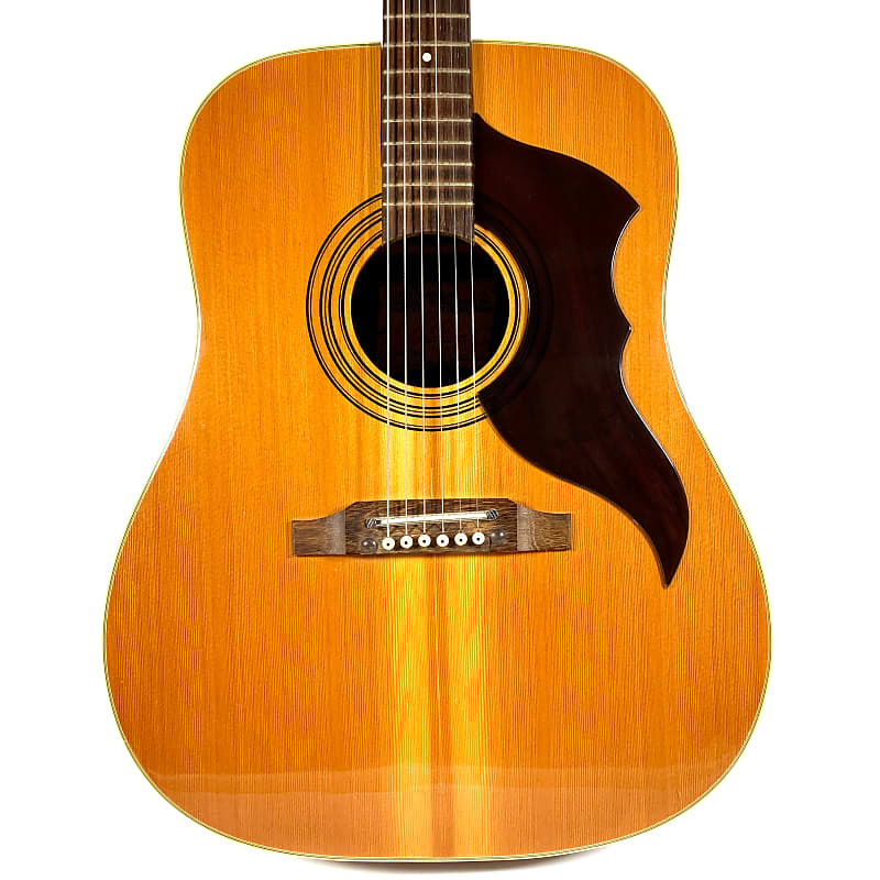 Eko Ranger VI Vintage 1970's | Reverb
