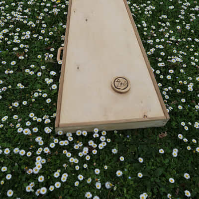 Timo - Handmade, custom semi-acoustic EXPLORER. | Reverb