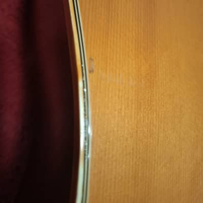 Ventura Bruno V-17 12 String Acoustic Dreadnought Guitar | Reverb