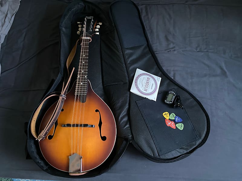 Mandoline Recording King RAM-3-TS | Reverb