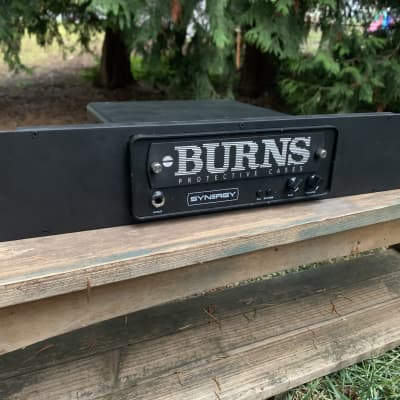 Burns Cases Alpha 2022 Black Storage Faceplate Synergy Syn-1 | Reverb