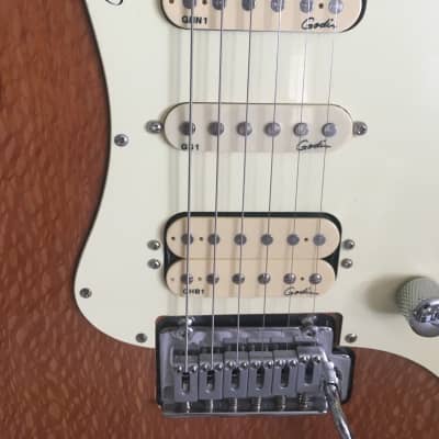 Godin SDxt 2013 Lacewood Hazel | Reverb