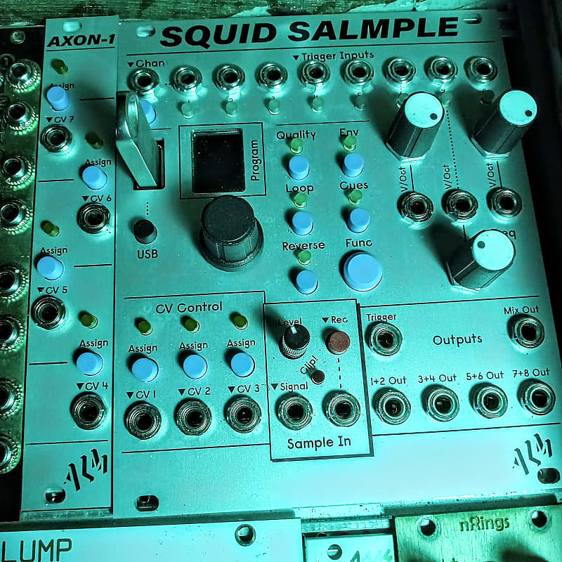 squid salmple w axon | Reverb