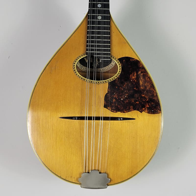 1919 Vega A-Style Mandolin With OHSC | Reverb