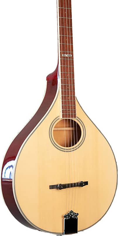 Gold Tone Banjola+ 5-String Banjo-Viola | Reverb