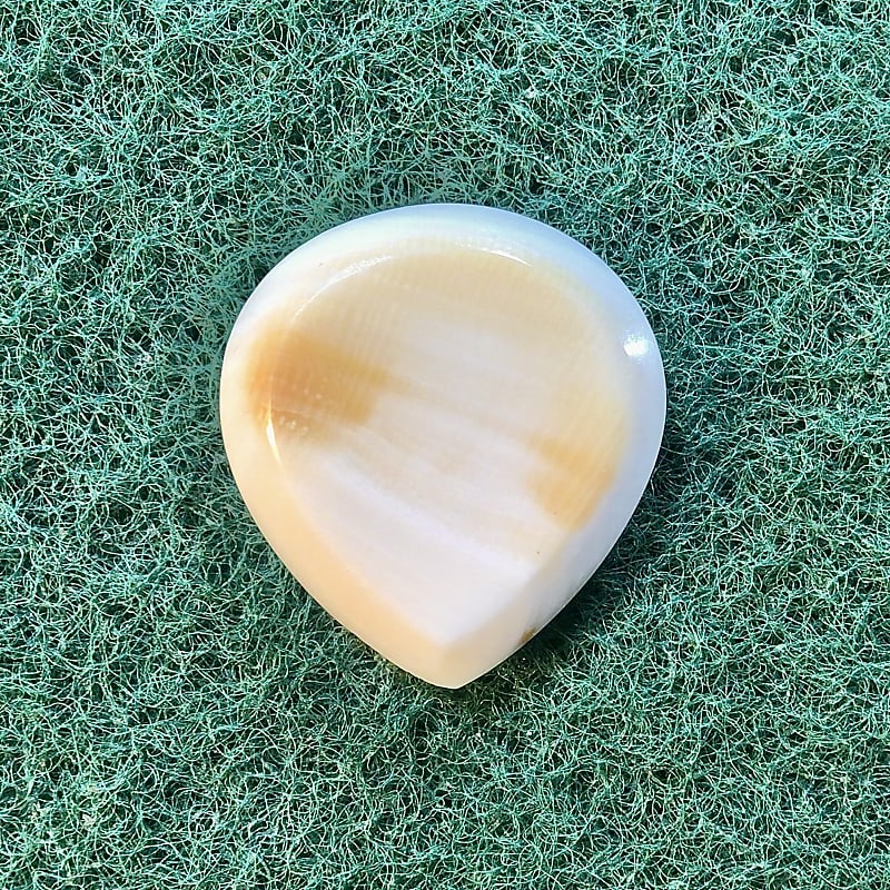 Seashell guitar pick- 4.3mm thick, teardrop… by | Reverb