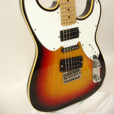 Robin Rider HSH "Tele" Style Electric Guitar, Maple | Reverb