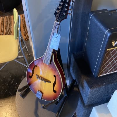 1990s Alvarez A100 Mandolin - MIK - Comes with Case! | Reverb
