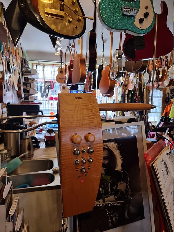 Moog Etherwave Pro Theremin | Reverb