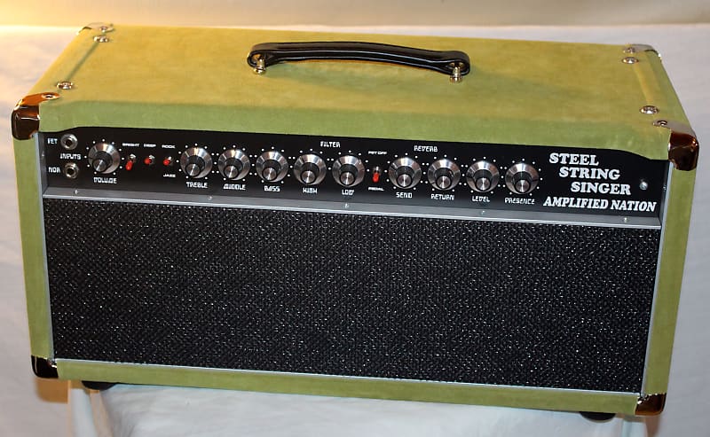 Amplified Nation Steel String Singer 100-Watt Guitar Amp Head | Reverb