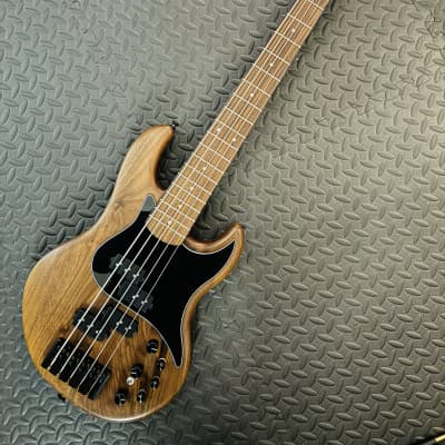 Alien Audio Constellation 5 - Walnut | Reverb