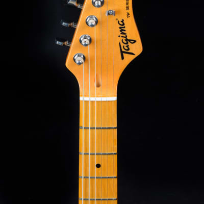 Tagima TW Series TG-540 - Sunburst with Tortoiseshell | Reverb