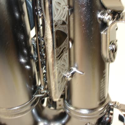 Cannonball Raven Big Bell Stone Series Alto Saxophone w/ | Reverb UK
