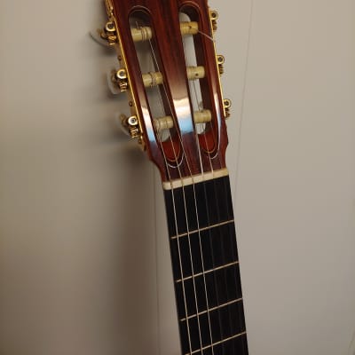 Takamine Model 5 Concert Arte 1979 - Gloss | Reverb