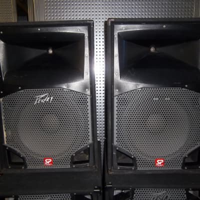 Peavey SP2 Two Way Speaker Cabinets (Pair of 2) | Reverb