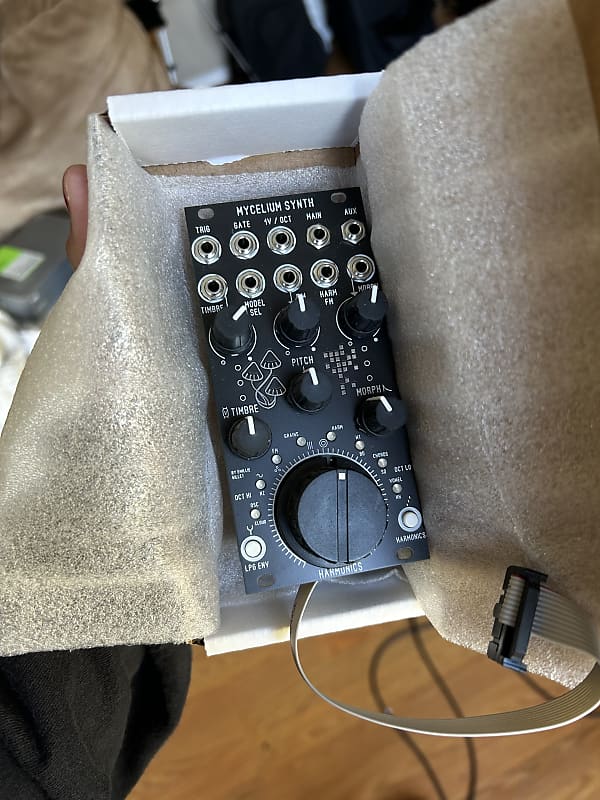 Blue Lantern Mycelium - Matt Black | Reverb