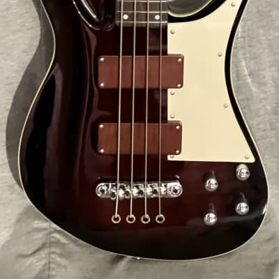 Waterstone Sam Hill 2-string bass 2022 Matte Black | Reverb