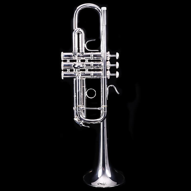 Bach C180SL229W30 C Trumpet - Professional, Large Bore | Reverb