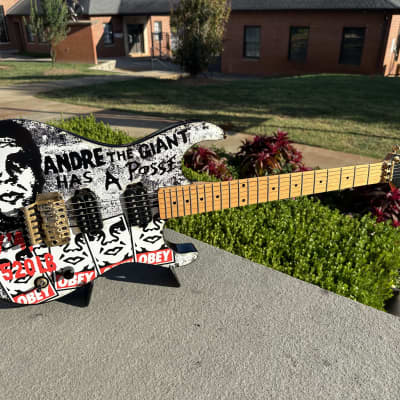 Washburn Steve Steven’s SS 40 1993 Shepard Fairey | Reverb Canada