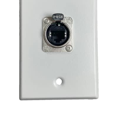 PROCRAFT SPL-1RJ45-WH 1 Gang White Wall Plate Loaded w/ 1) | Reverb