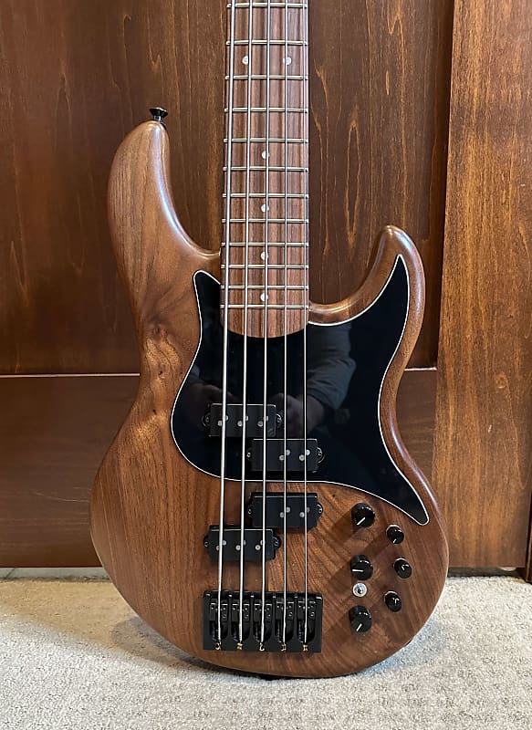 Alien Audio Constellation 2023 Walnut/Maple/Rosewood — | Reverb